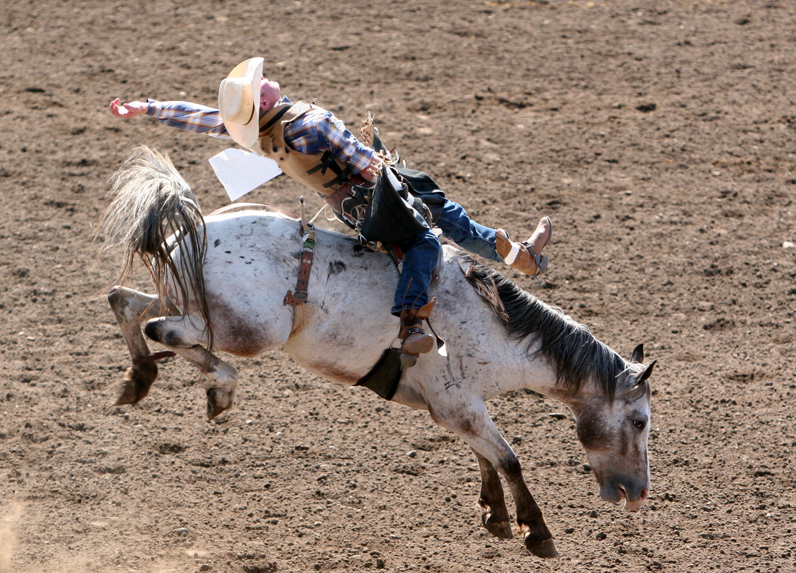 Bandit Hat Cinch